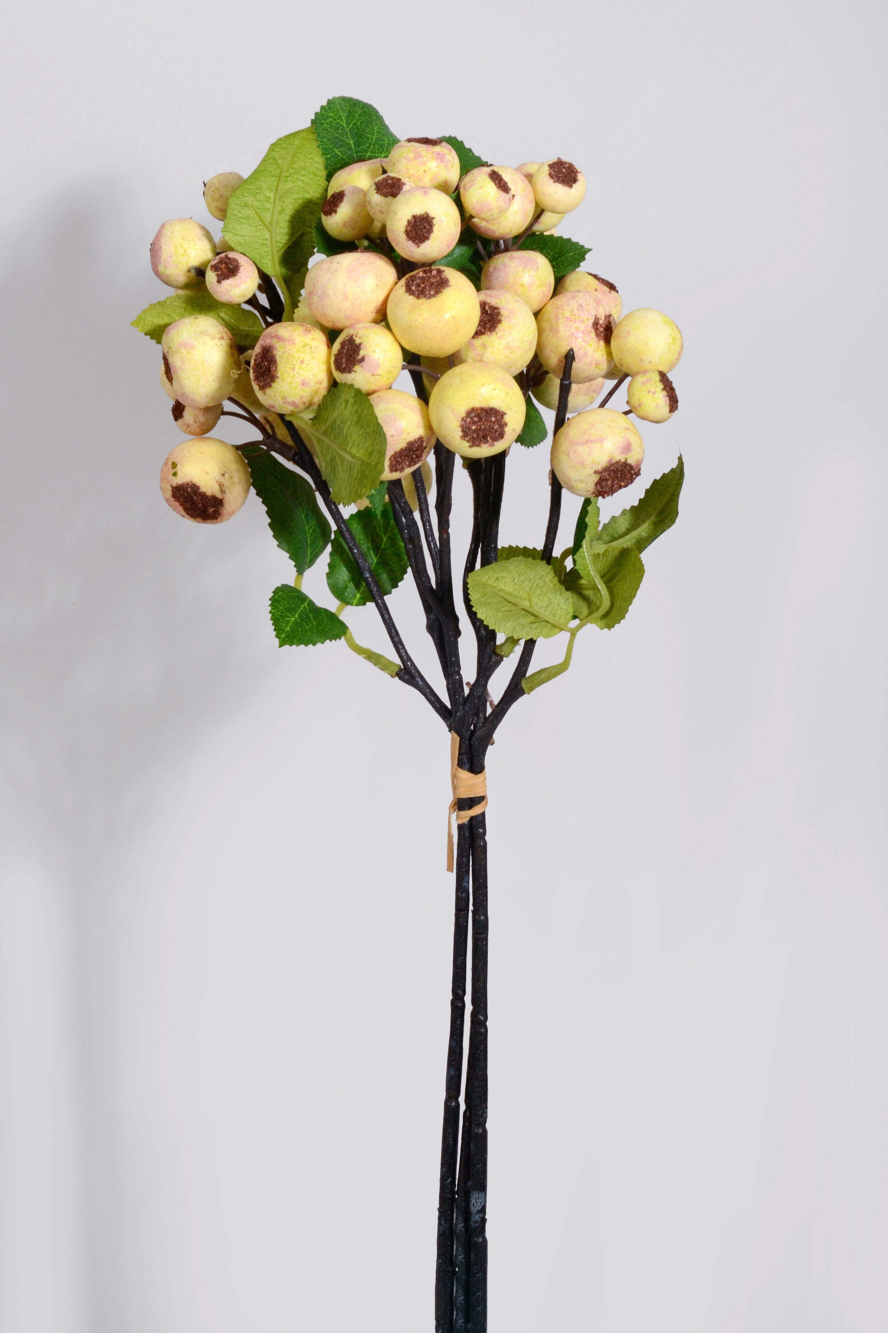 13'' Wild Apple Bundle Cream-gandgwebstore.com – G&G WEBSTORE